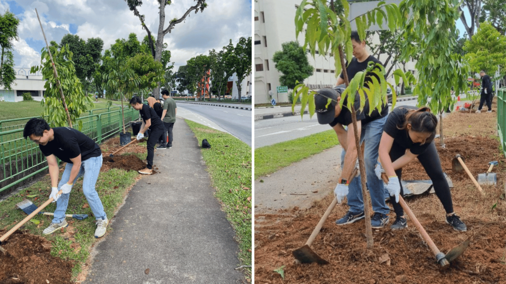 Planting the seeds for Singapore’s future, one tree at a time - Virtuos ...